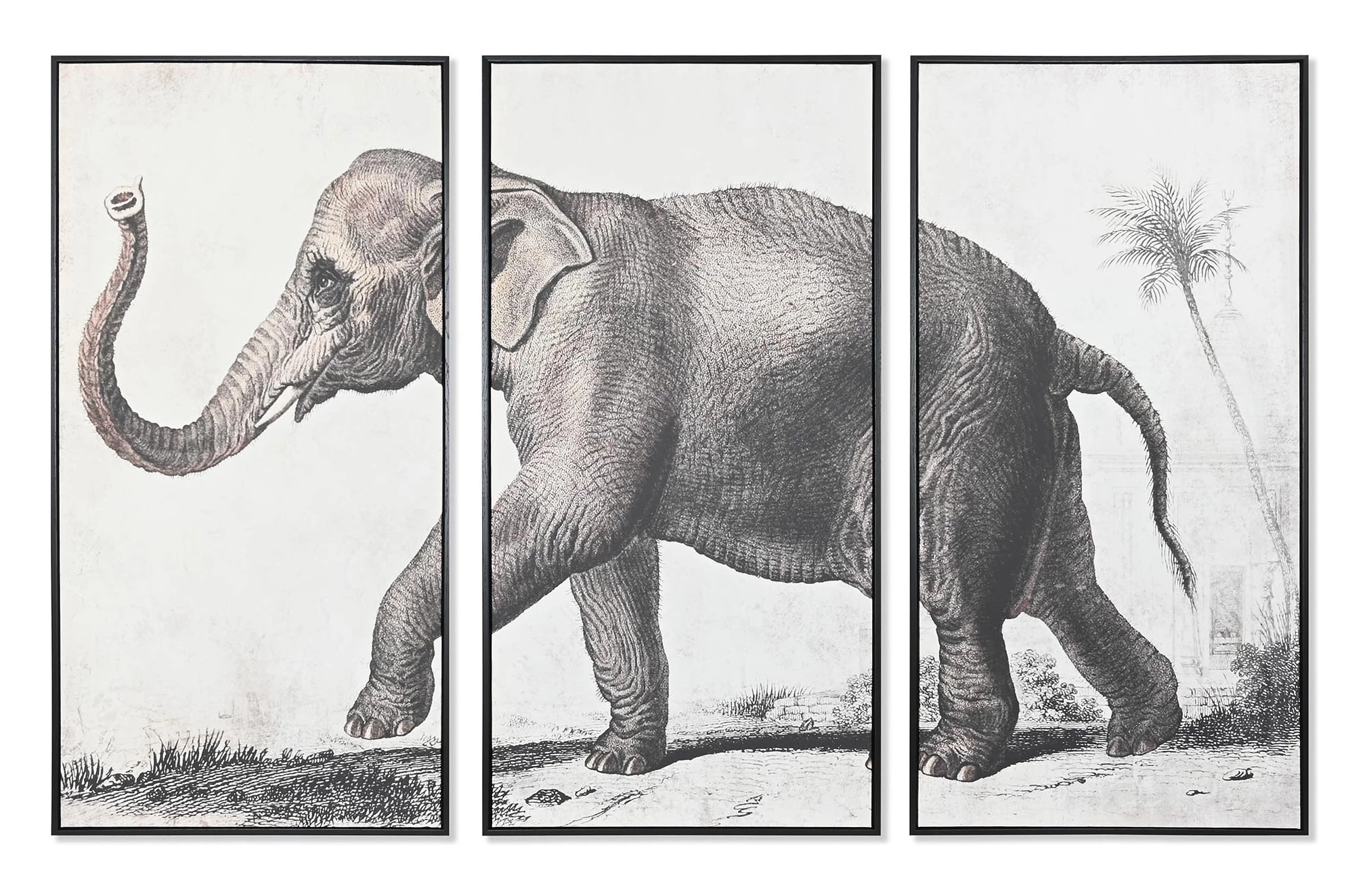 Cuadro elefante (set/3) 180x120 - Mon Deco Shop